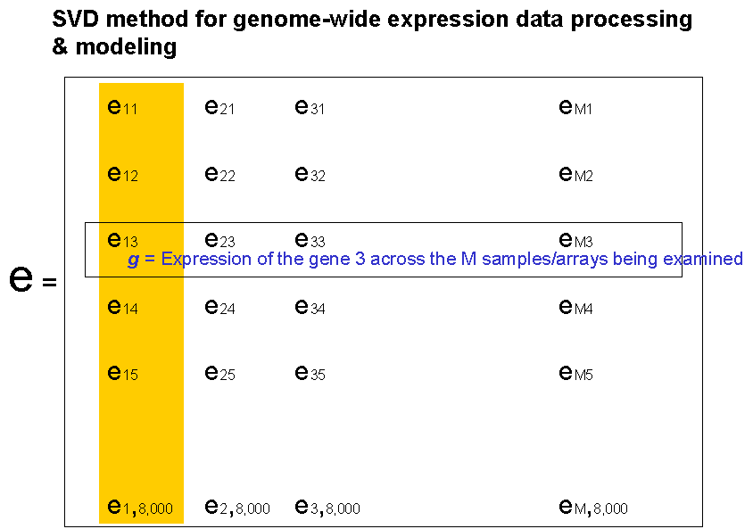 Gene Expression Analysis