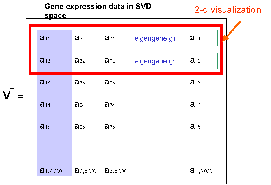 Gene Expression Analysis